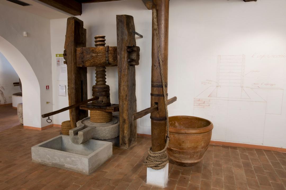 Olive Tree and Olive Oil Museum (MOO) - Torgiano en - | www ...