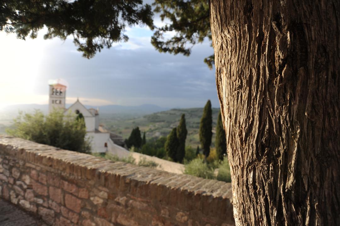 Assisi it | www.umbriatourism.it