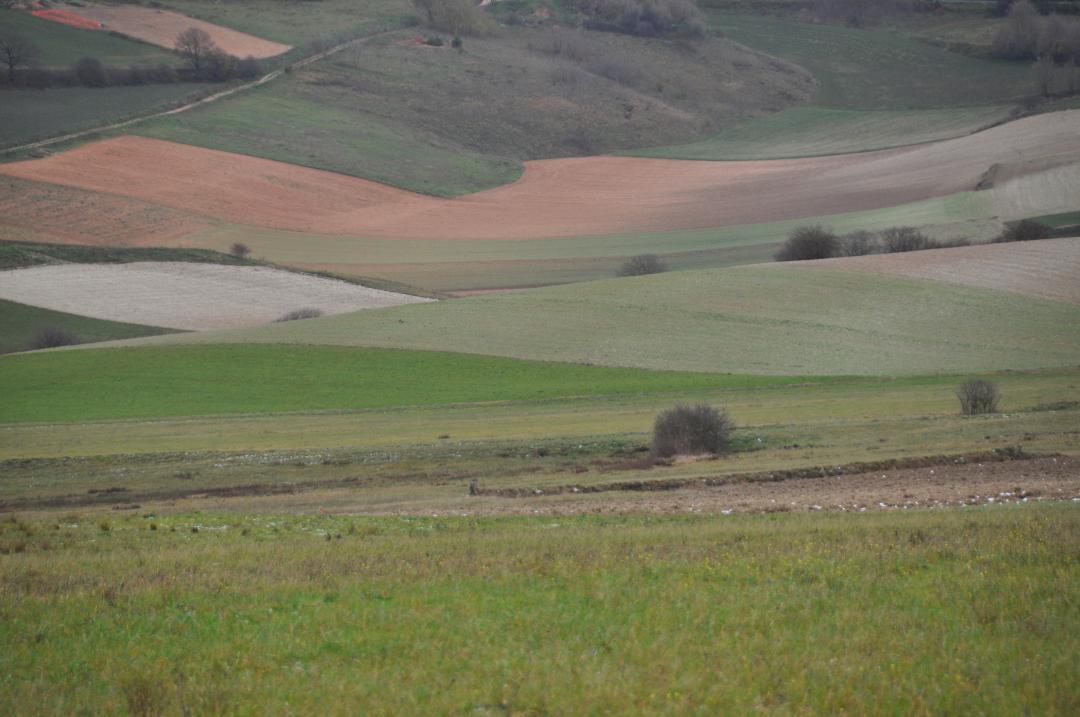 Parco di Colfiorito it - | www.umbriatourism.it
